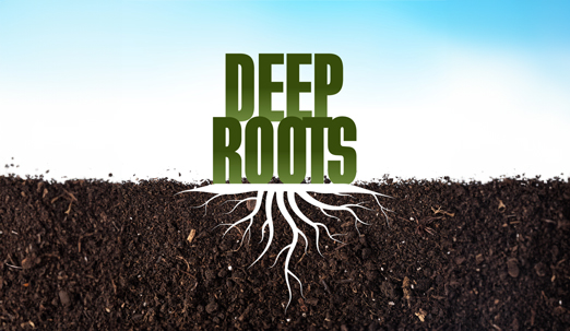 Deep Roots Men’s Discipleship Training - LighthouseTV